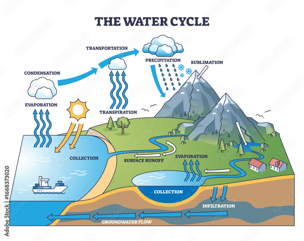 The water cycle shows evaporation, condensation, and precipitation ...