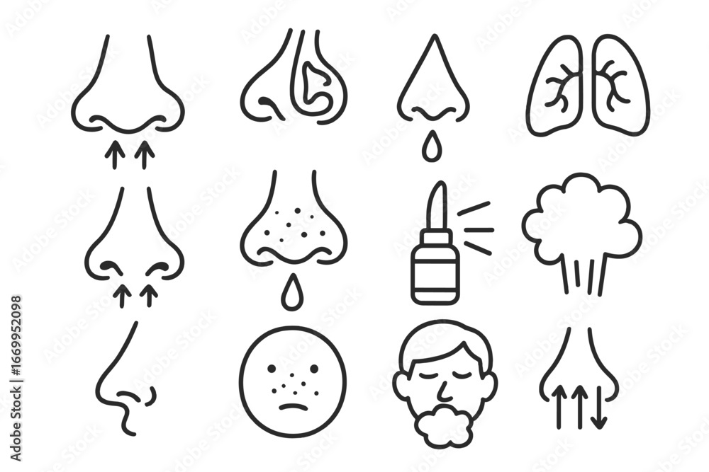 Nose Anatomy Doodle. Hand-drawn doodle illustration nose nose, nostrils ...