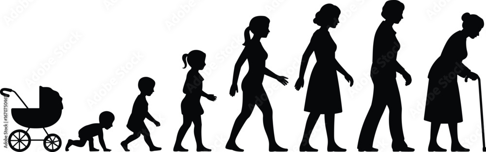 Female life stages, age progression, silhouette illustration, baby to ...