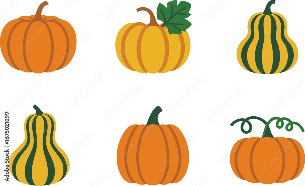 Pumpkins and gourds collection, various shapes with curly vines, autumn ...