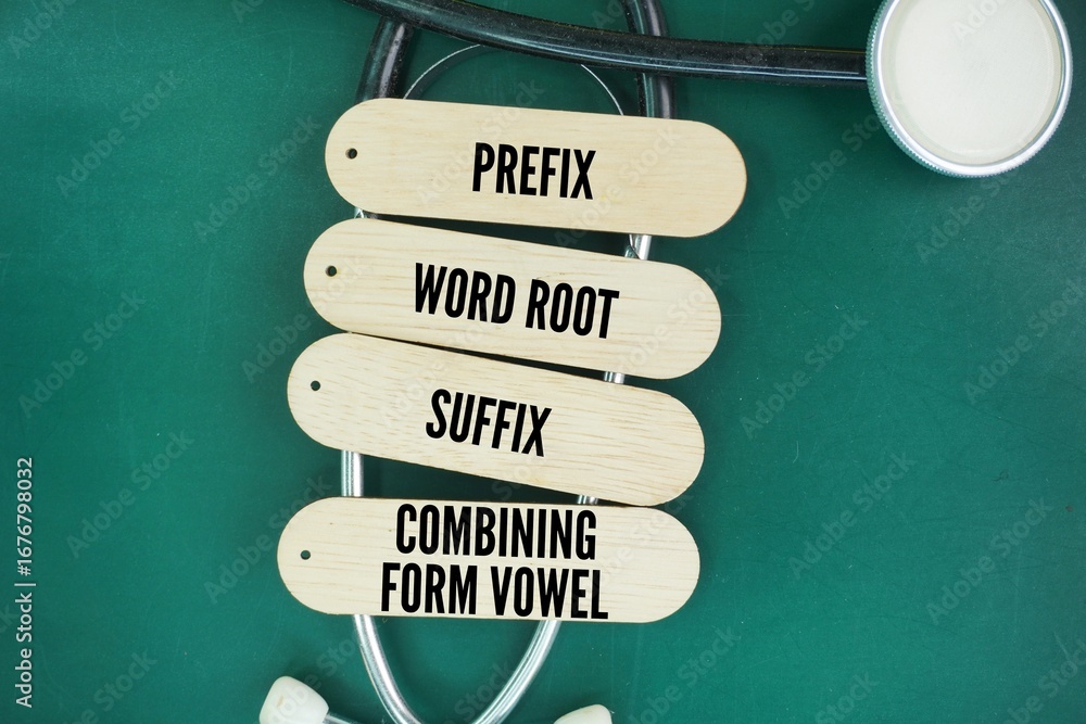 What are four parts of a medical term? Medical terms are built from ...