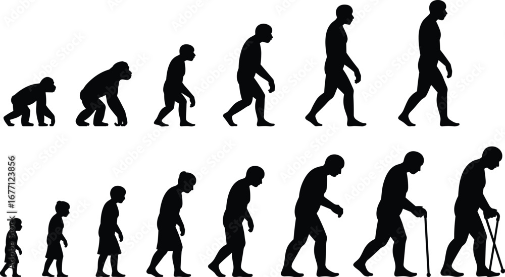 Evolution of man from ape to modern human and aging process, black and ...