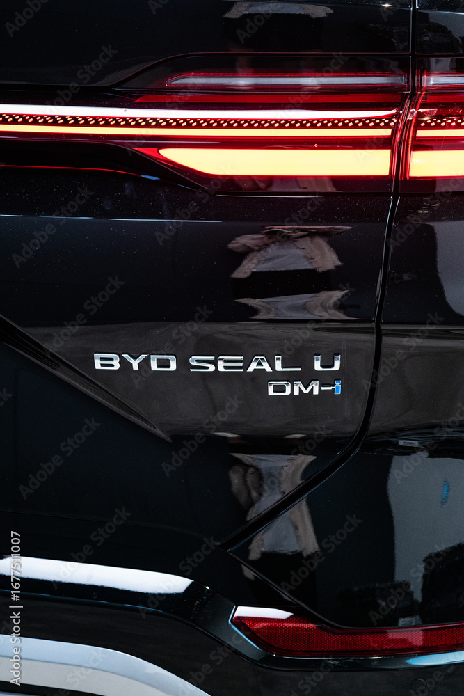 Shenzhen BYD (Build Your Dreams) PHEV Plug-In Hybrid Car, Chinese EV ...