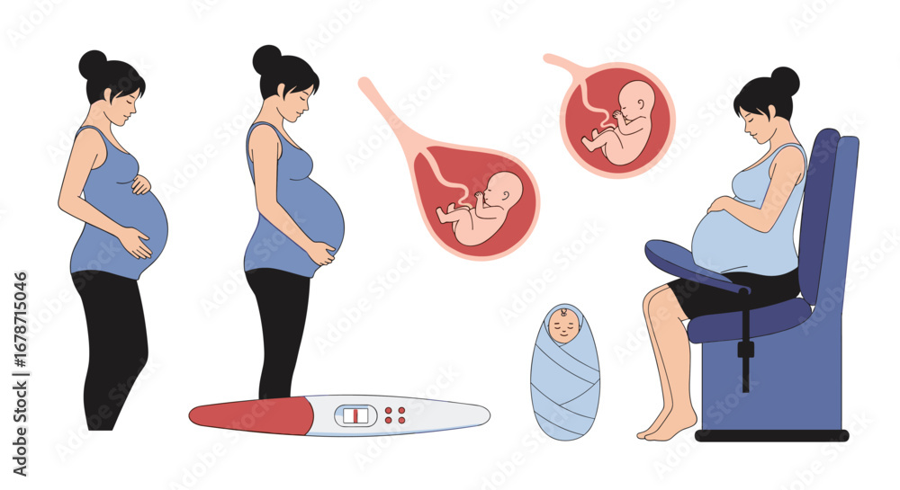 Understanding the stages of pregnancy fetal development and birth ...