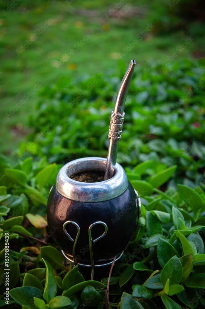 Photo Stock Mate en el campo, copa de mate con yerba sobre el suelo con ...