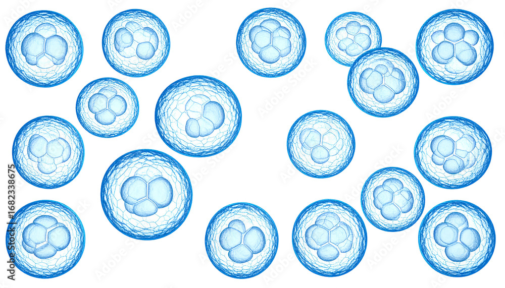 Microscopic image showing multiple cells with nuclei, appearing as ...