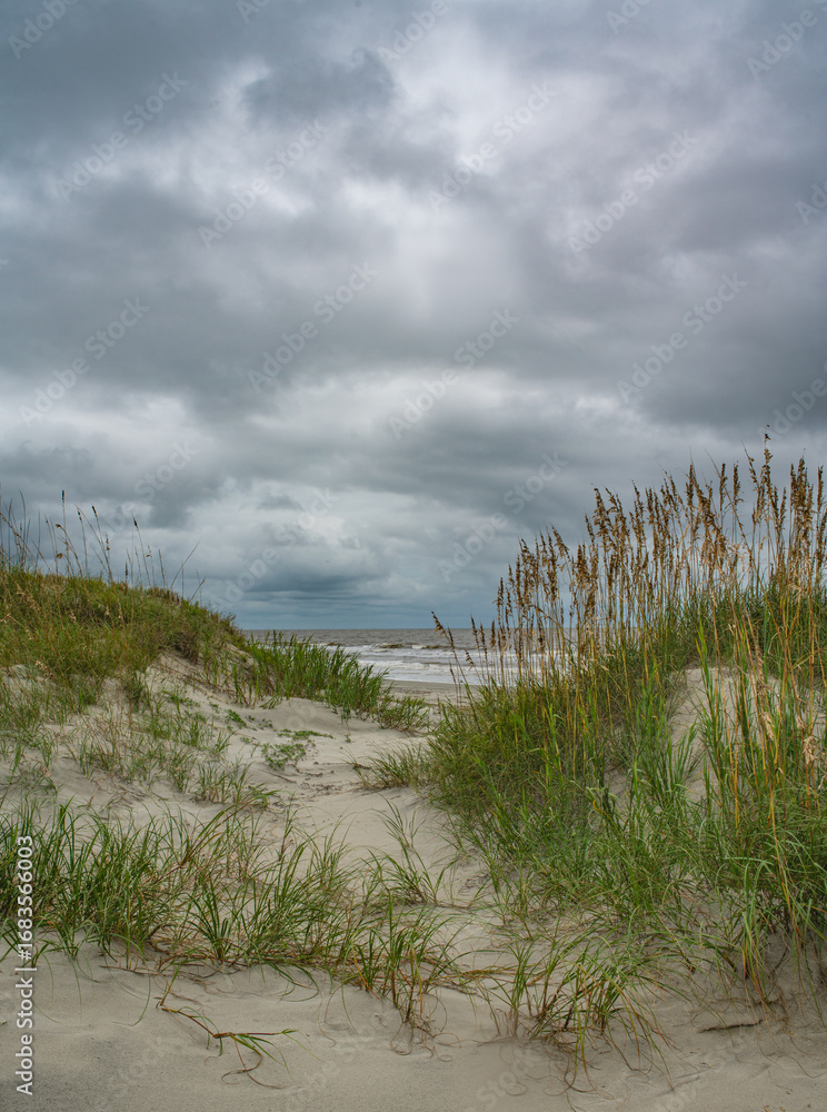 Windswept Sand Dunes and Grasses at Jekyll Island, Georgia Coast Stock ...