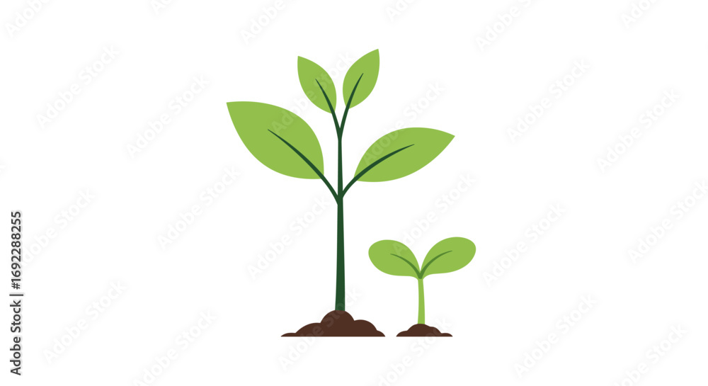Understanding plant growth stages from seedling to mature plant ...