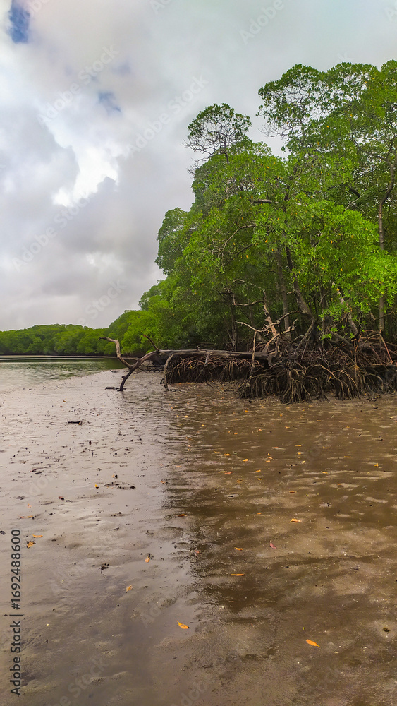 Foto de Stock Castelhanos Beach reveals its wild beauty where the ...