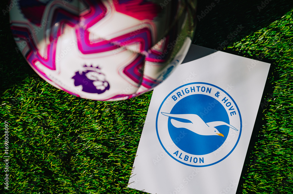 Brighton & Hove Albion logo of football club of Premier League ...