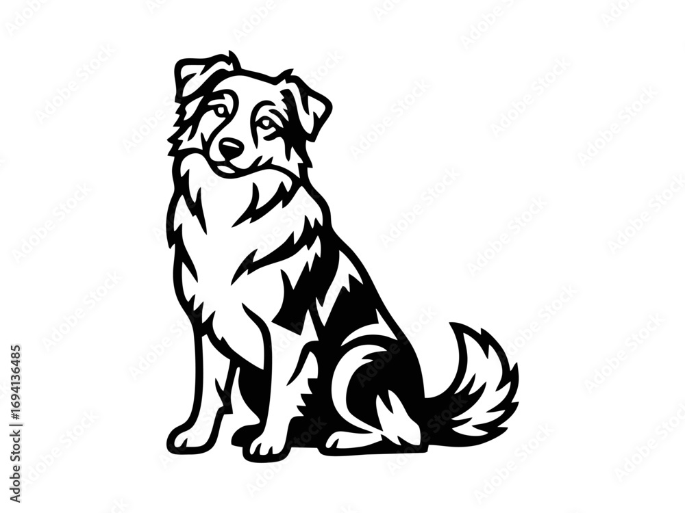 Vector isolated one single Aussie Australian Shepherd dog head portrait ...