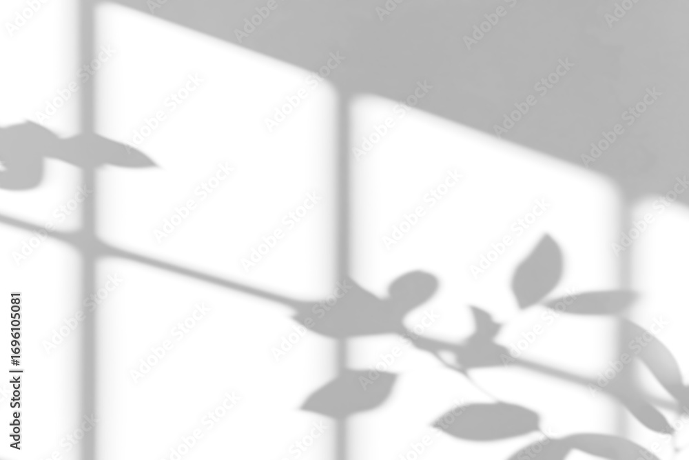 shadow overlay effect of natural tree leaves shadow and window shadow ...