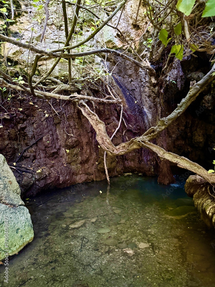 Natural spring water source in tropical forest. A place in Cyprus in ...
