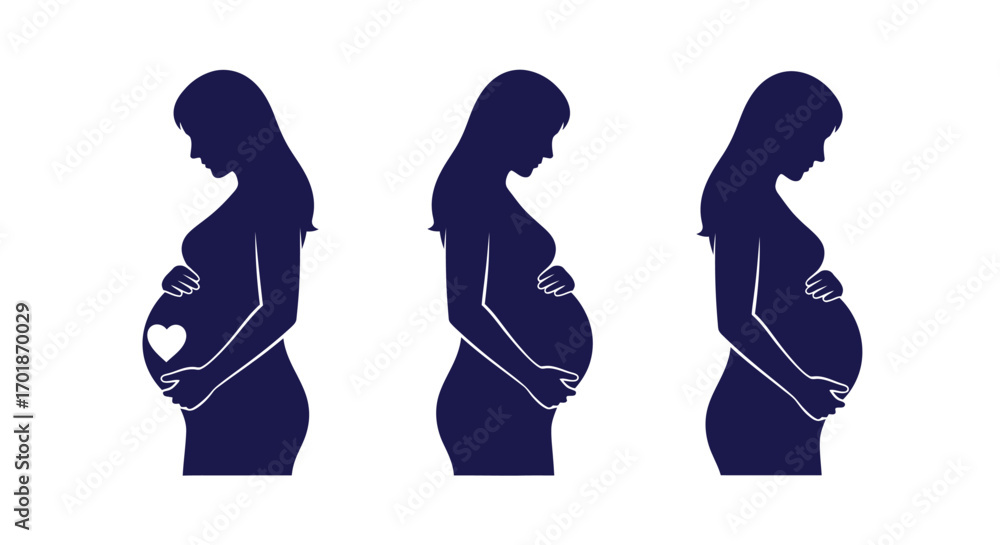 Stages of Pregnancy Illustrated Showing a Pregnant Woman's Belly Growth ...
