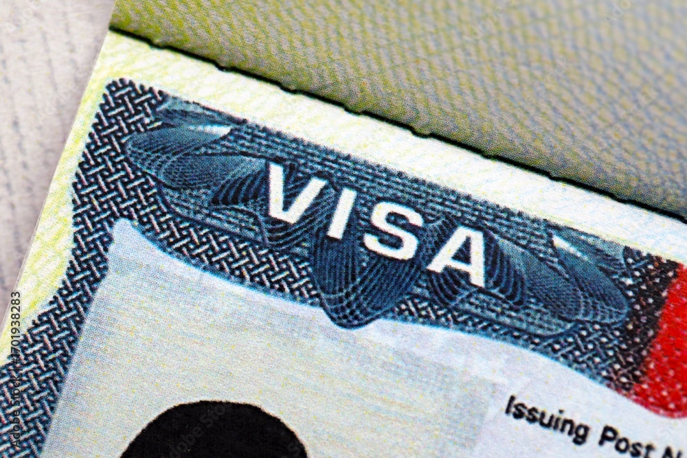 American visa which is a permit to travel to, enter and remain in the ...