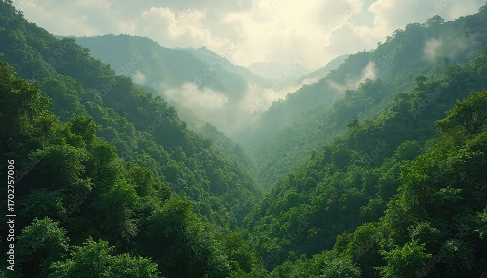 Rich green forest landscape, mountain peaks, fog. Nature photo with ...