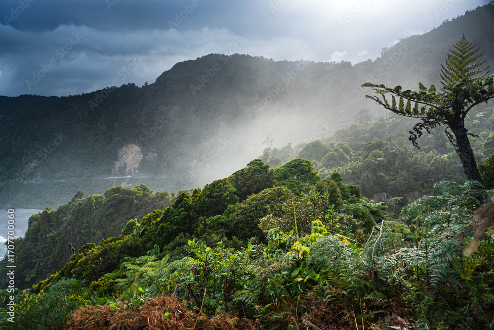 Misty Light Piercing Through Dense Coastal Rainforest and Hills Above ...