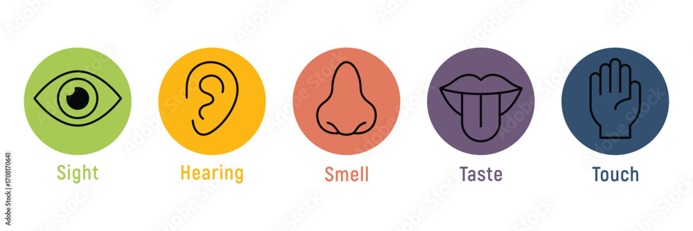 Human senses icon set. Vision eye, smell nose, hearing ear, touch hand ...