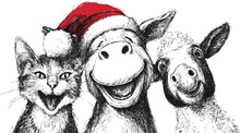 Donkey Character Smiling Free Stock Photo - Public Domain Pictures