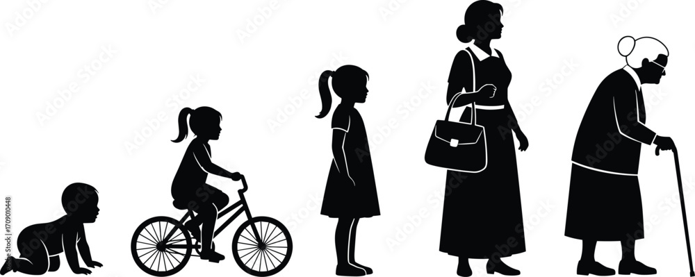 Human life stages, aging process, female silhouette, childhood to ...