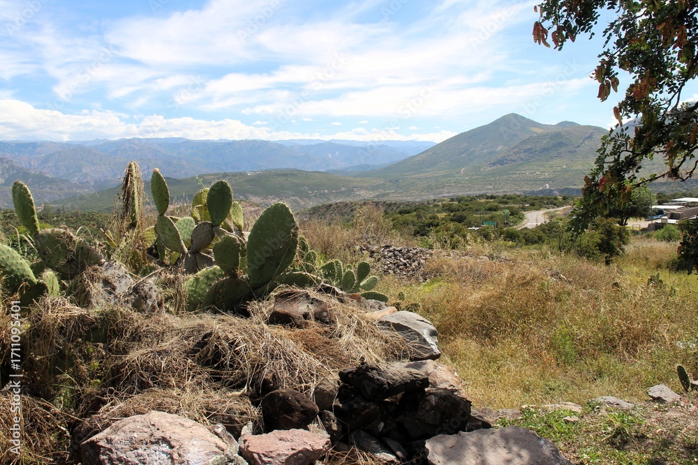 Wari Archaeological Complex, pre-Columbian ruins at the old capital of ...