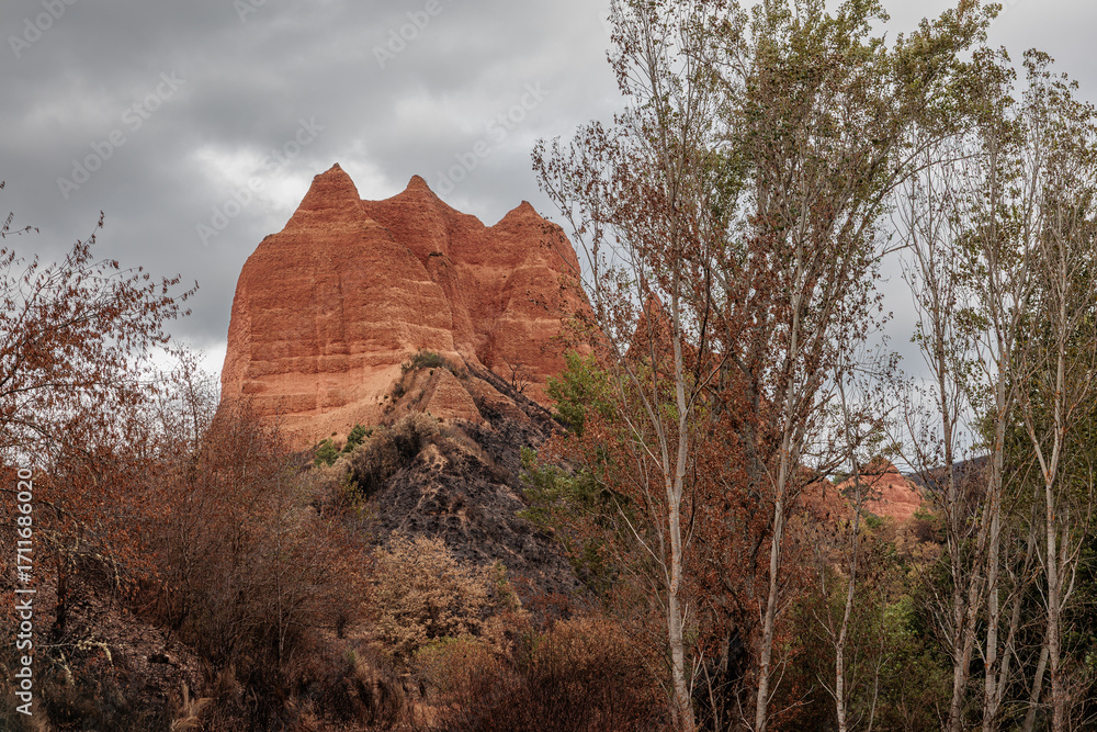 Vegetation and clay soil elevation with scorched areas in the Las ...