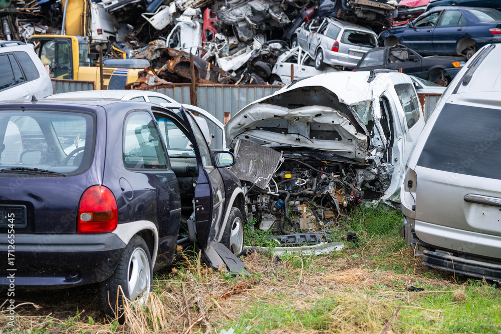 Stacked and dismantled vehicles fill an overgrown junkyard ...