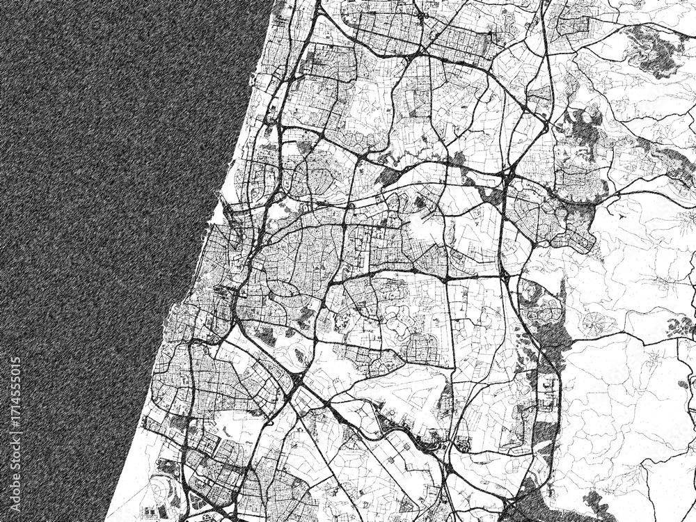 Illustrated city map of Tel Aviv Metro, Israel, in black and white ...