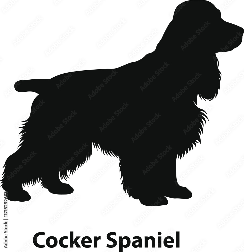 Cocker spaniel dog side profile with feathered ears as a classic ...