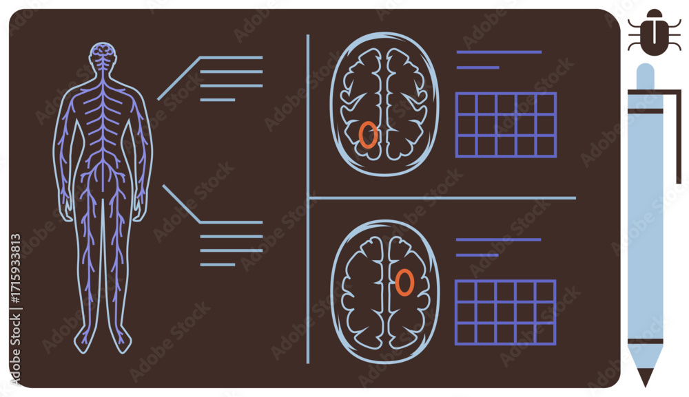 Vector de Stock Human nervous system outline, brain diagrams with grids ...