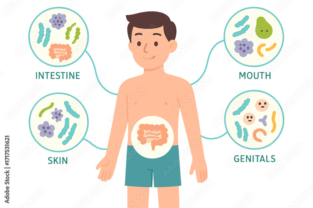 Human microbiome infographic showing different microflora types. Man ...
