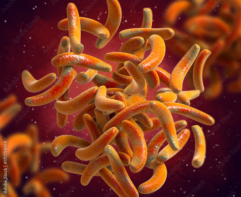 Medical background, a type of pathogenic bacteria dangerous to life and ...