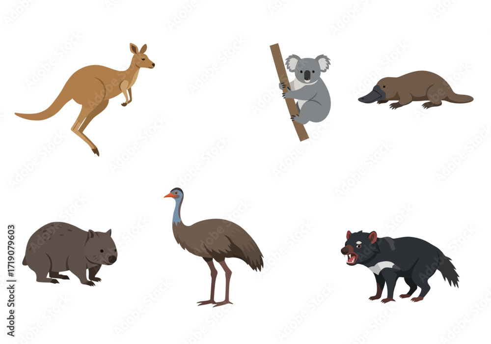 Six native Australian animals are shown kangaroo koala platypus wombat ...