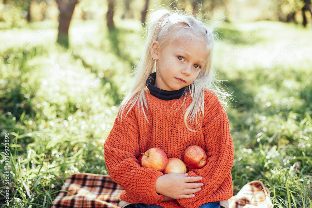 Child picking apples on farm in autumn. Little girl playing in tree ...