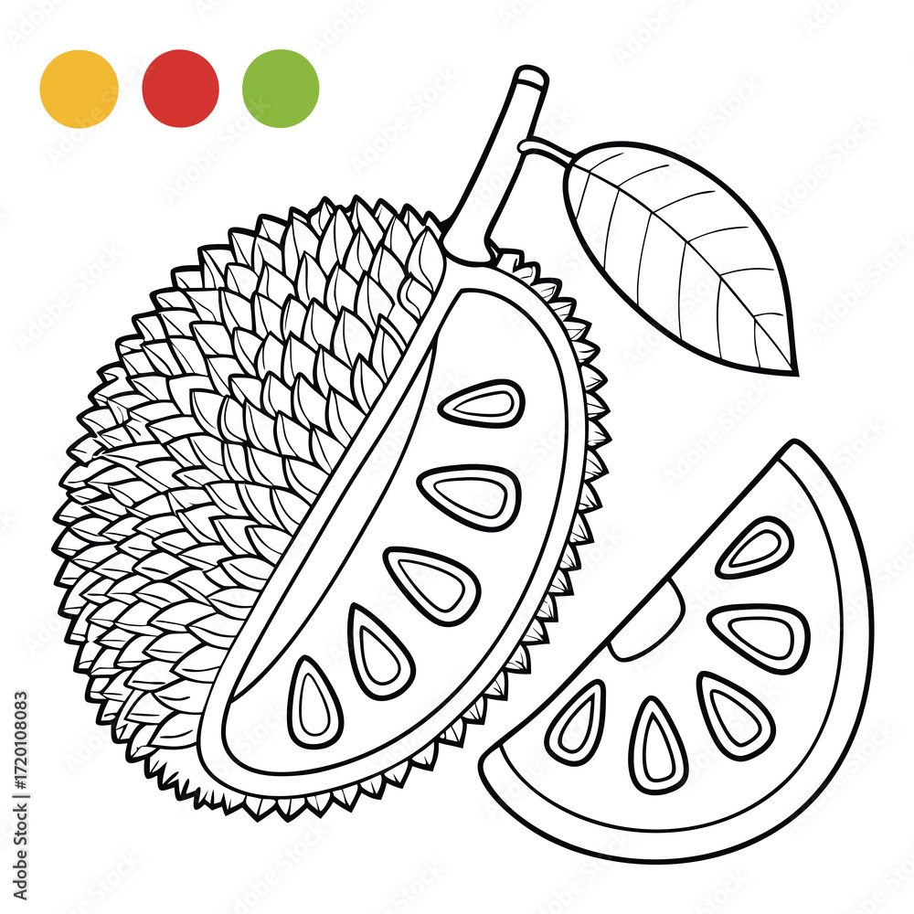 jackfruit coloring page for kids. Vector cartoon character. Educational ...