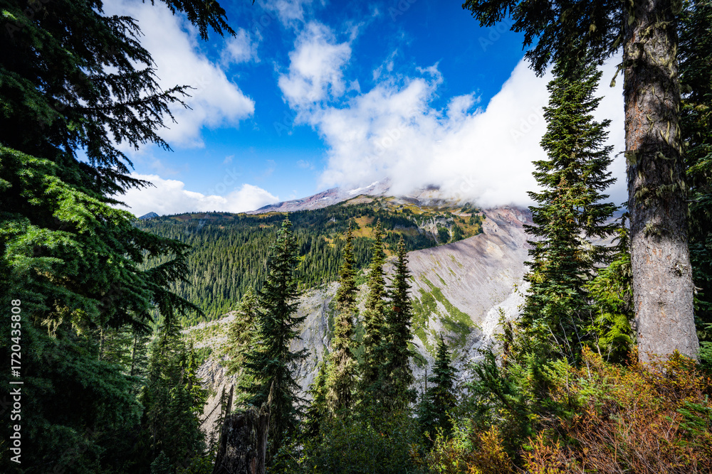 Mount Ranier National Park near Paradise with Glacier and Snow in the ...