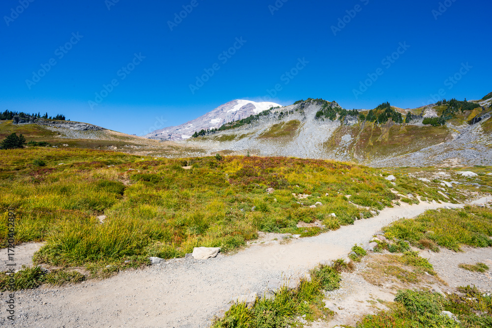 Mount Ranier National Park near Paradise with Glacier and Snow in the ...