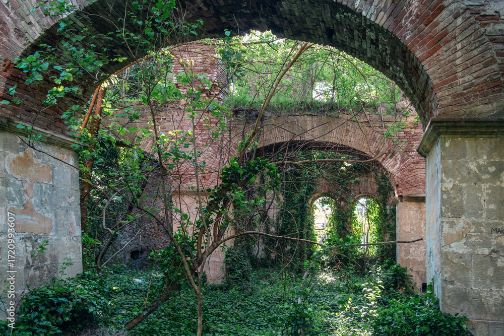 Overgrown interior of abandoned brick building with vaulted arches and ...