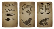 Frog Artifact Free Stock Photo - Public Domain Pictures
