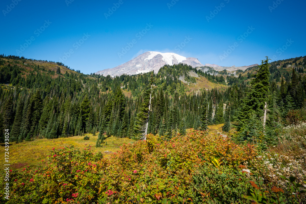 Mt. Rainier National Park from Stevens Pass Road in the Fall of 2025 ...