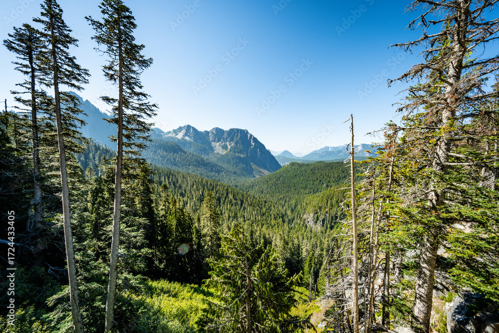 Mt. Rainier National Park from Stevens Pass Road in the Fall of 2025 ...