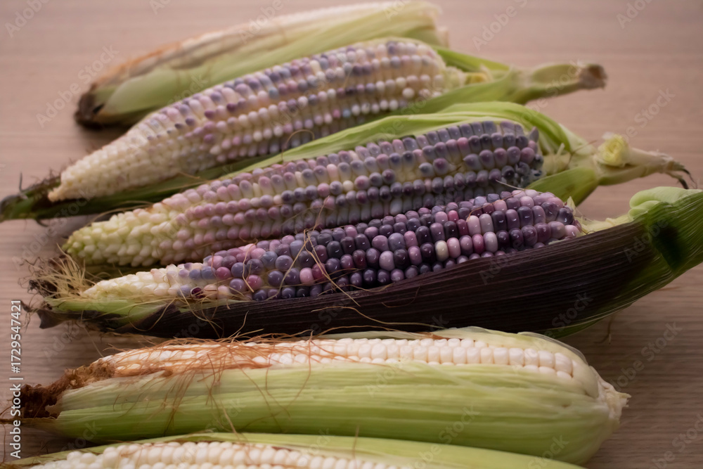 Foto de Stock the husks are peeled off a purple corn, revealing its ...