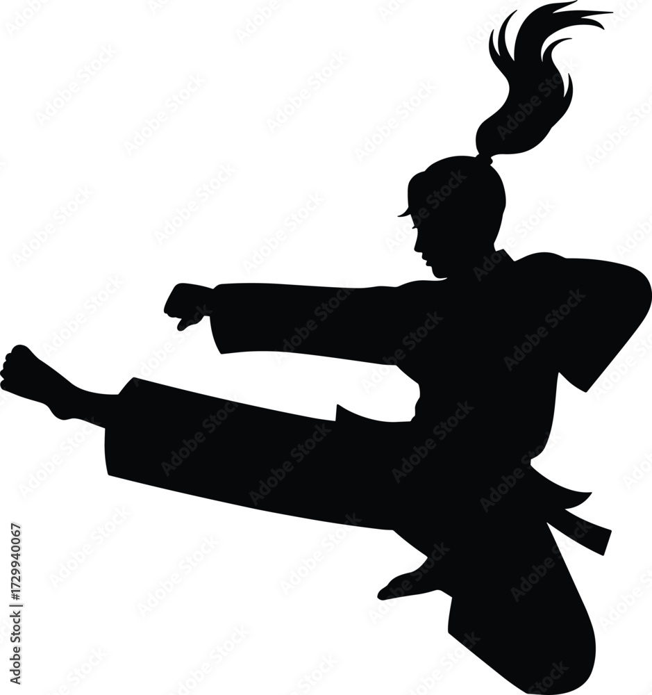 Stock-Vektorgrafik „Martial arts flying kick silhouette, dynamic action ...