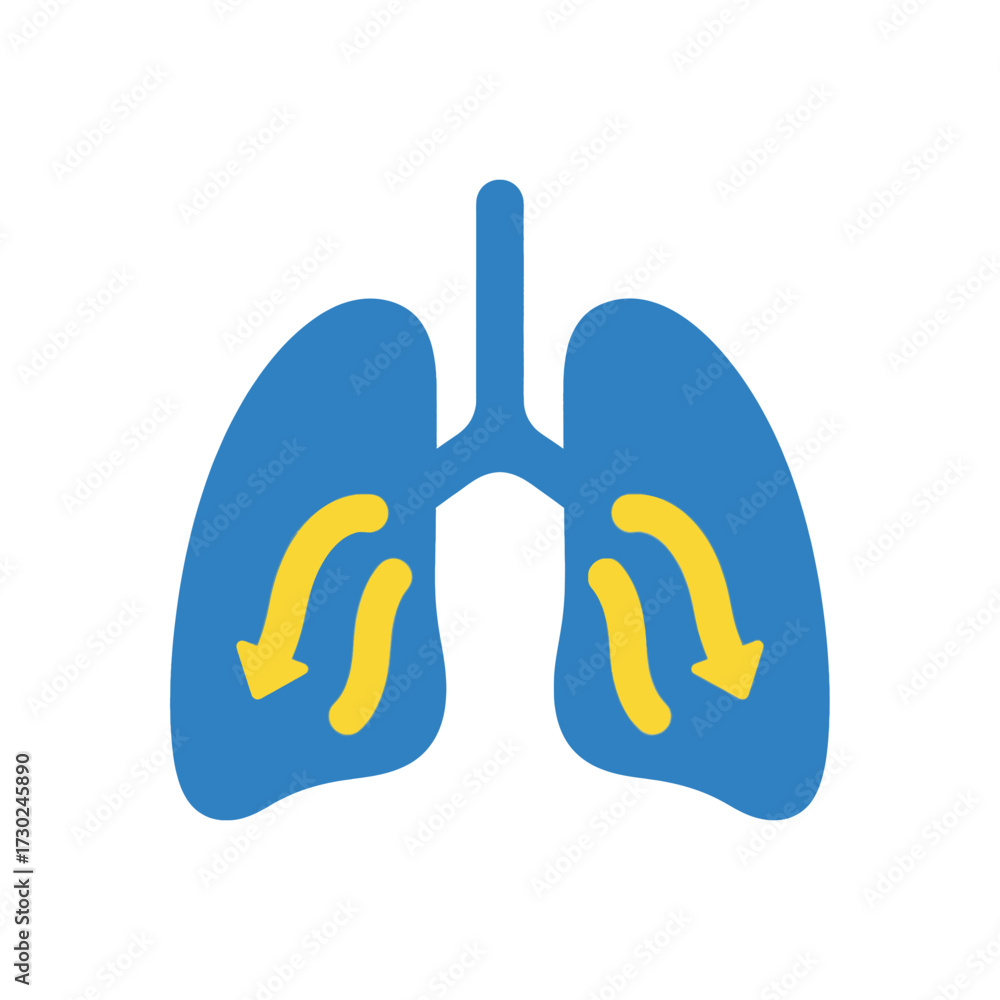 เวกเตอร์ Stock Human Lungs Anatomy Illustration A Visual Guide to ...