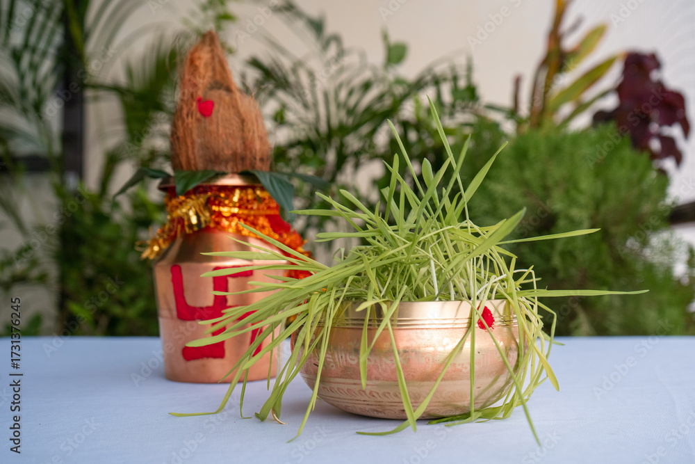 Ghatasthapana, the first day of Dashain in Nepal, where barley seeds ...