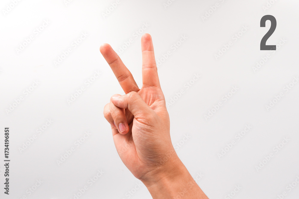 American Sign Language (ASL) alphabet and numbers chart using human ...