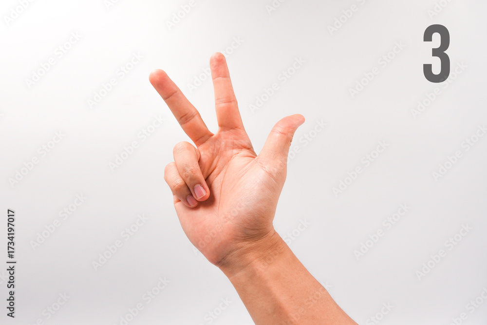 American Sign Language (ASL) alphabet and numbers chart using human ...