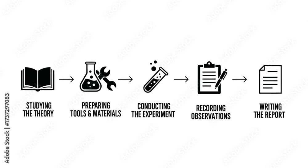 A step-by-step infographic of the scientific method, from studying ...