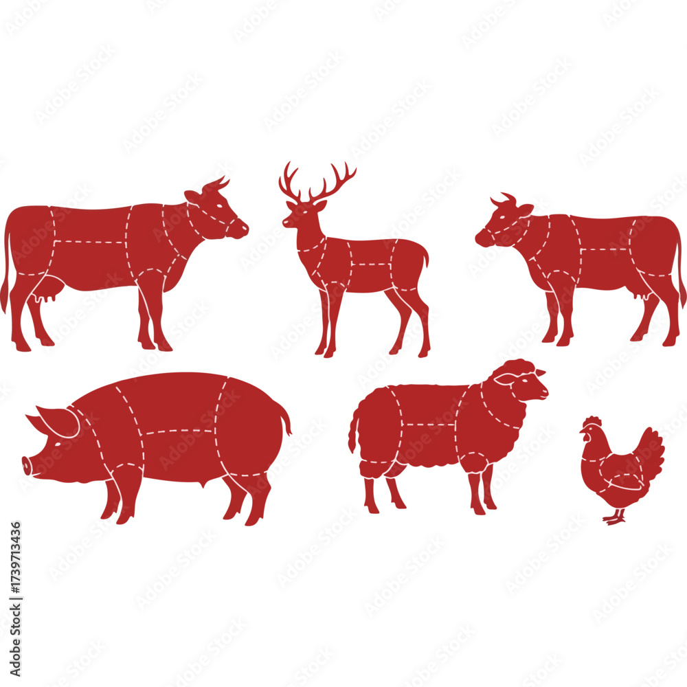 Red meat cuts diagram of cow, deer, pig, sheep, and chicken Stock ...