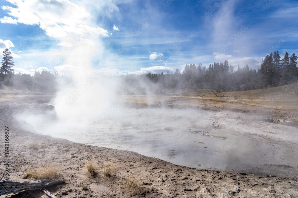 Churning Caldron. Mud Volcano area, Yellowstone National Park, Wyoming ...